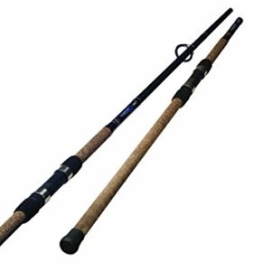 Best Long Distance Surf Casting Rods - Pro Fishing Rigs