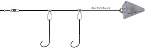 How to Make a Surf Fishing Rig for Whiting - Pro Fishing Rigs