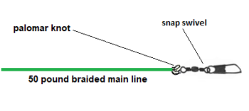 Guide for a Black Sea Bass Rig - Pro Fishing Rigs