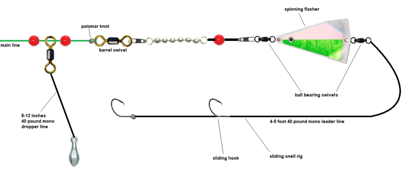 Salmon Trolling Rig Guide - Pro Fishing Rigs