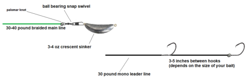 Mooching Salmon Rig - Pro Fishing Rigs