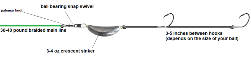 Mooching Salmon Rig - Pro Fishing Rigs